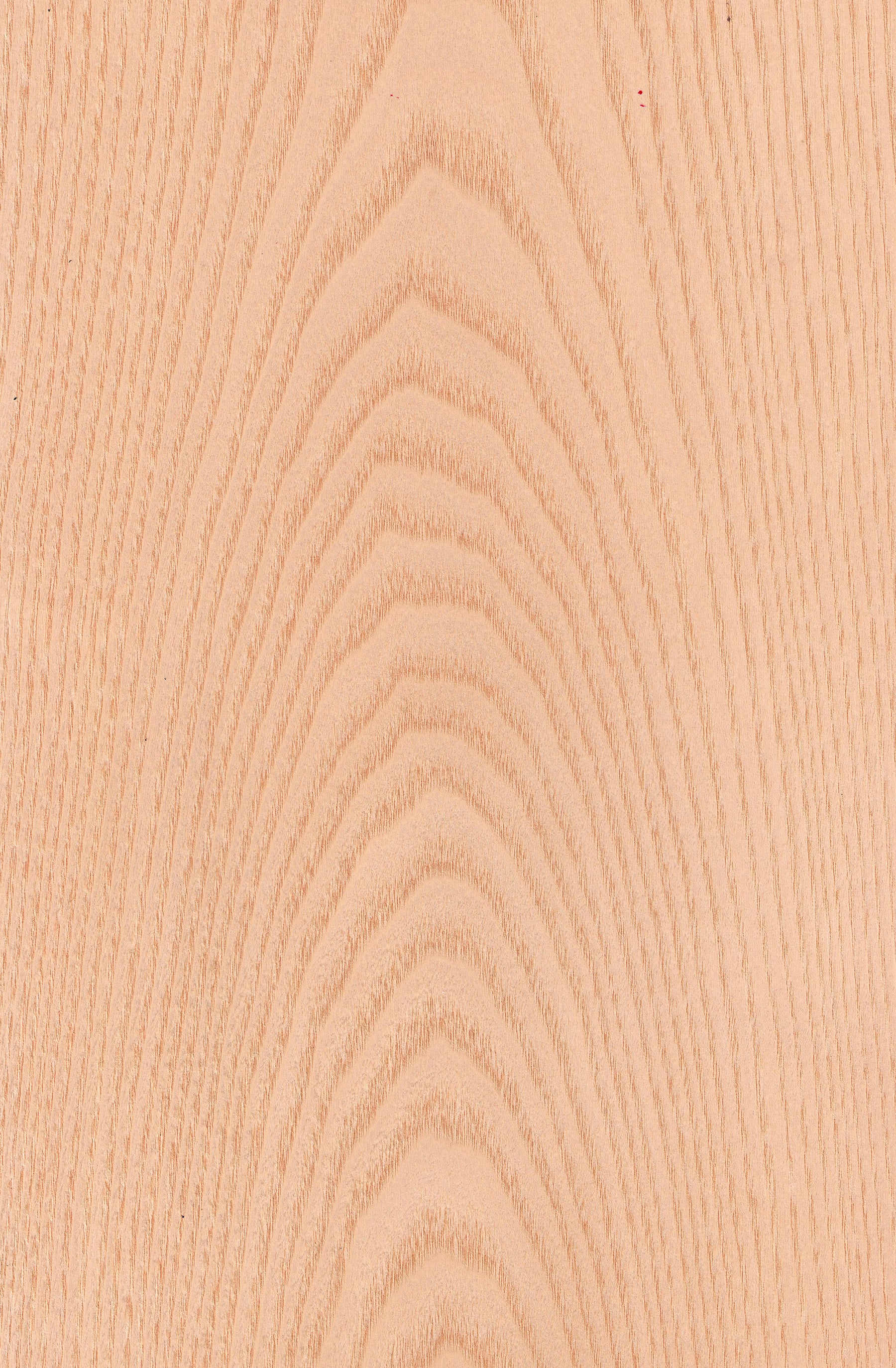 White Ash- Wood Veneer