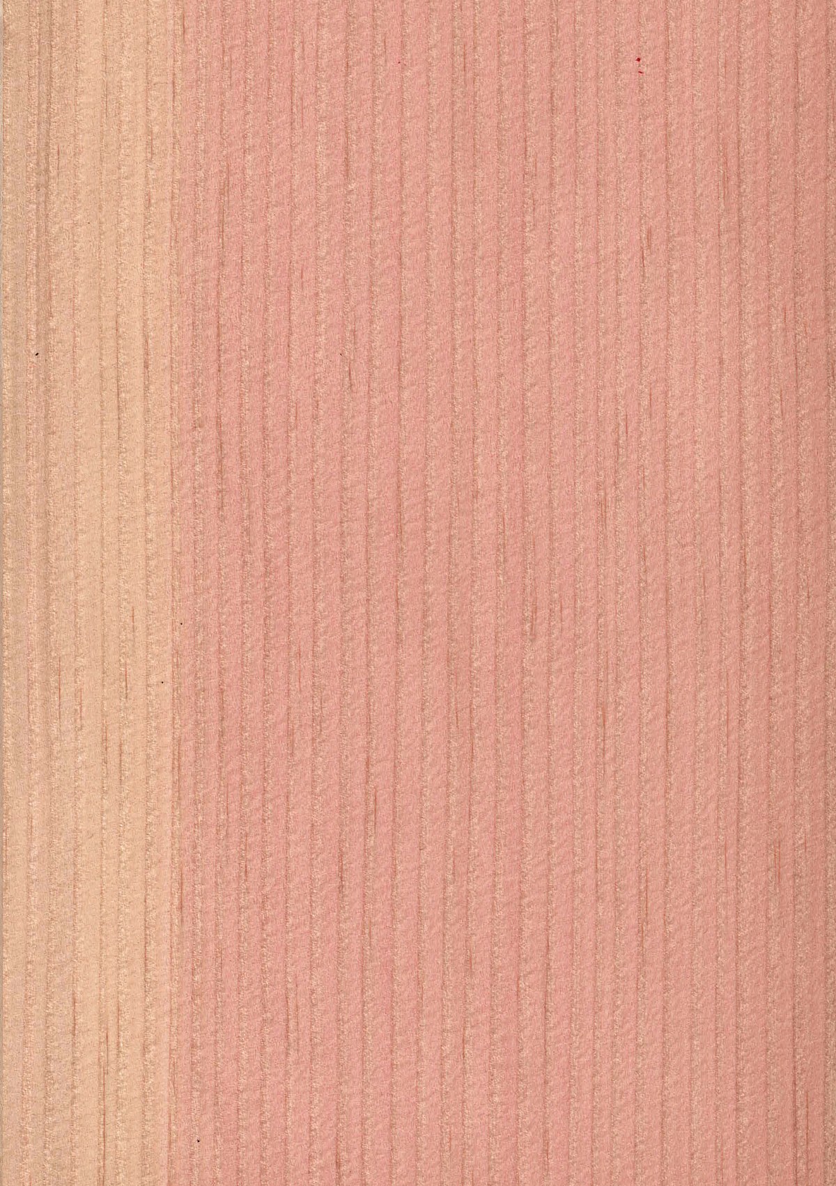Douglas Fir - Wood Veneer