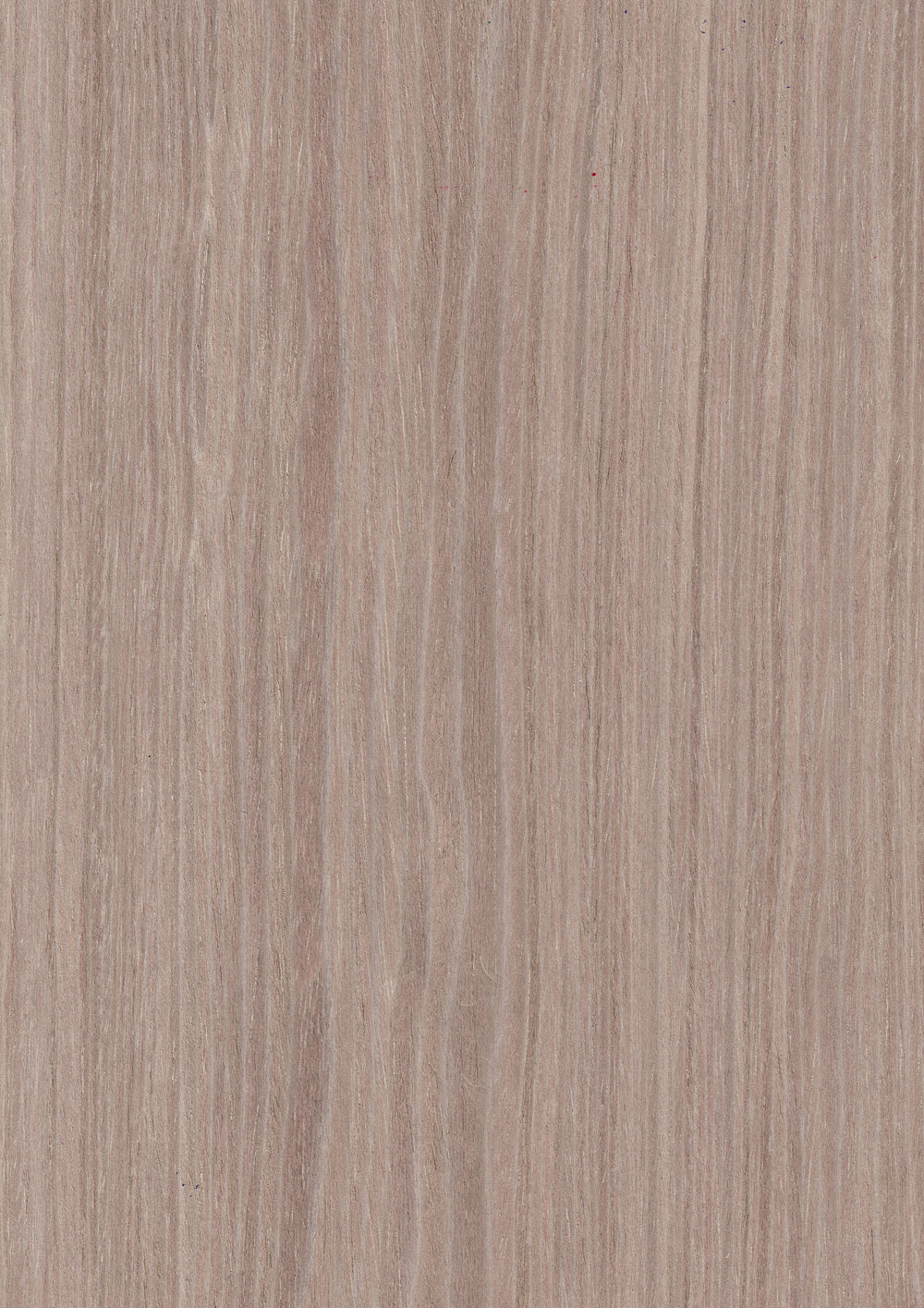 Grey Oak Planked - Wood Veneer - Value Engineered Veneer