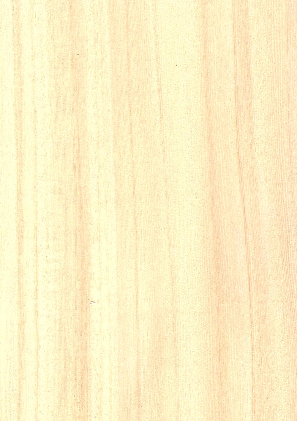 Koto - Wood Veneer