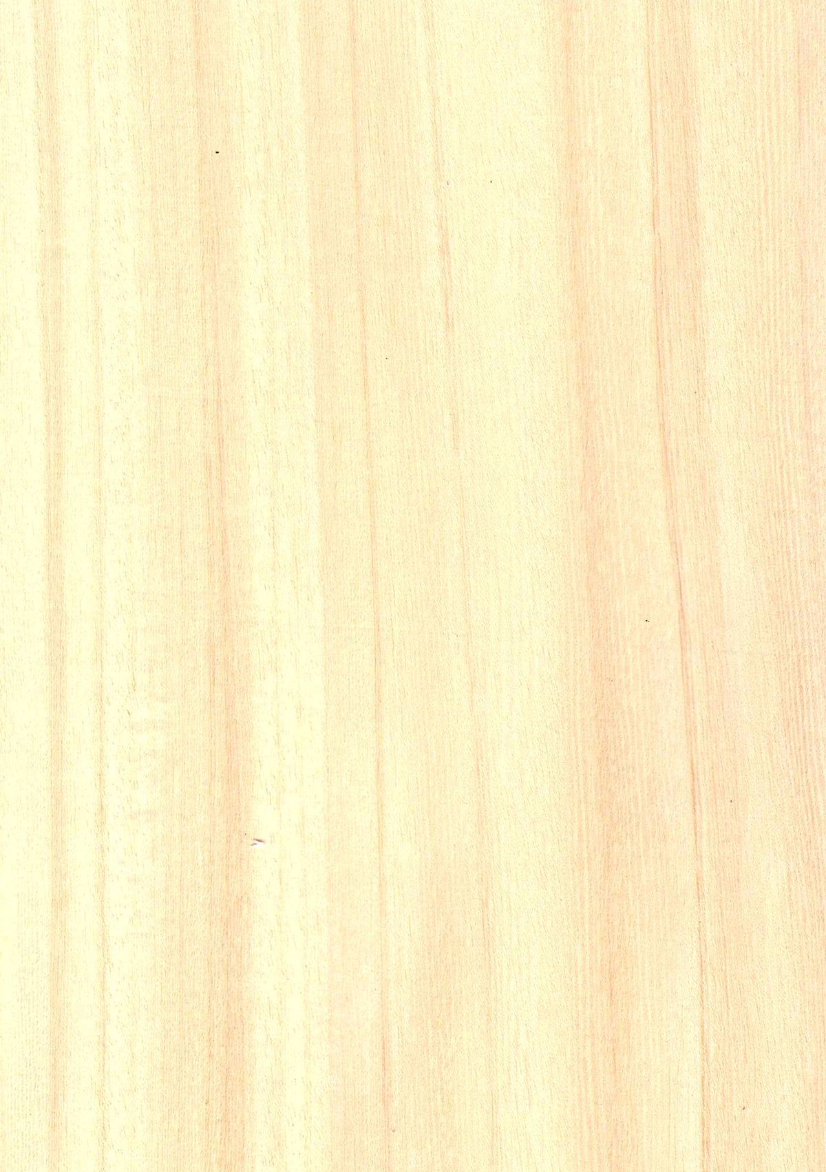 Koto - Wood Veneer