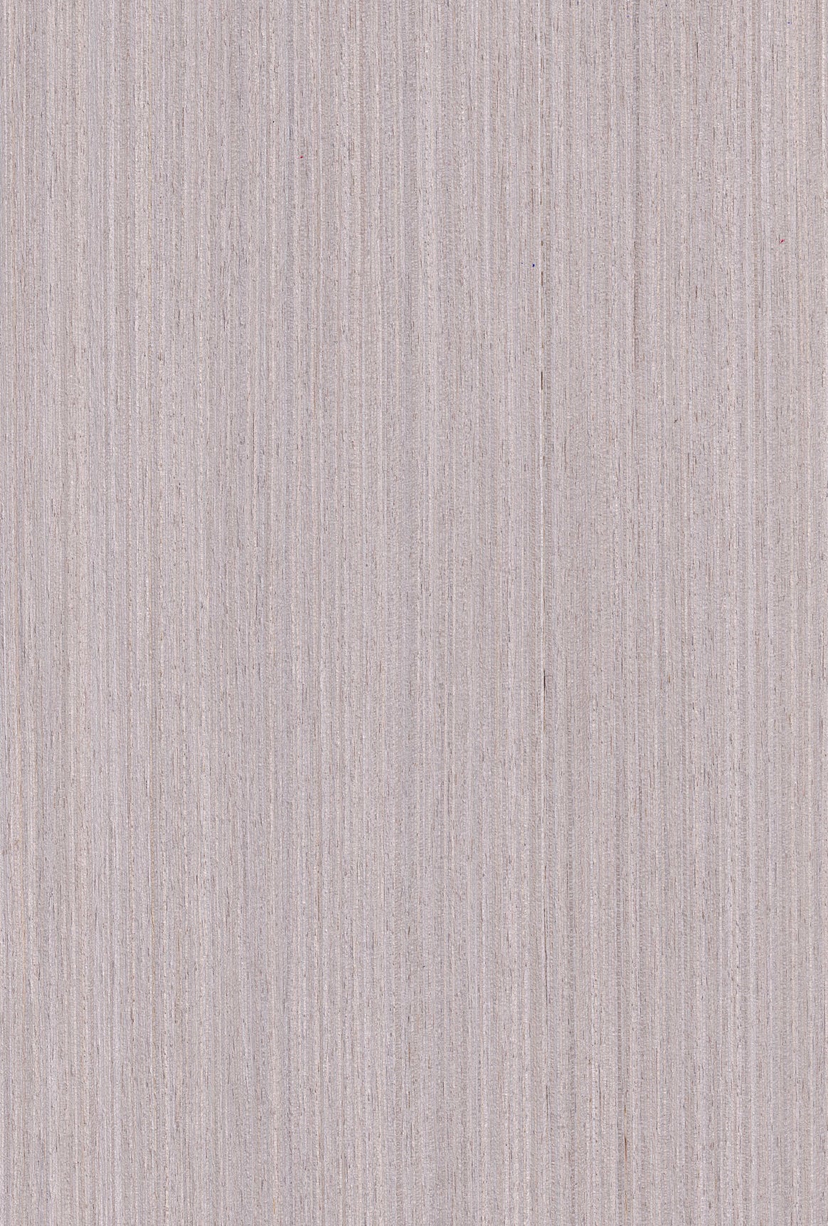 Silver Oak 3801Q - Wood Veneer - Value Engineered Veneer