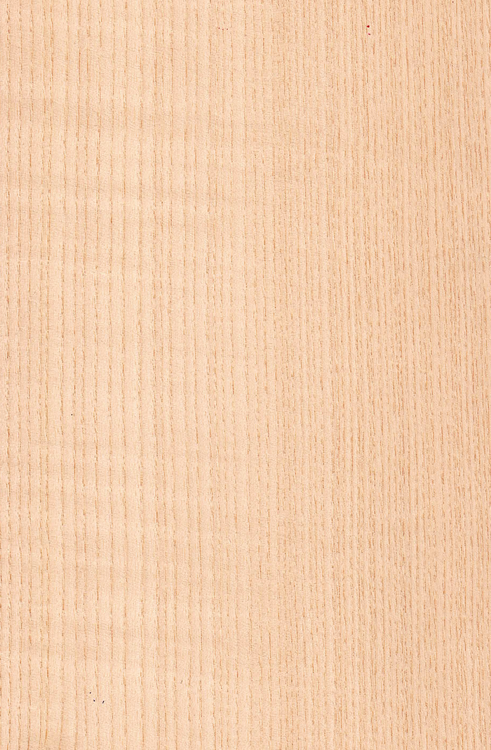 White Ash- Wood Veneer