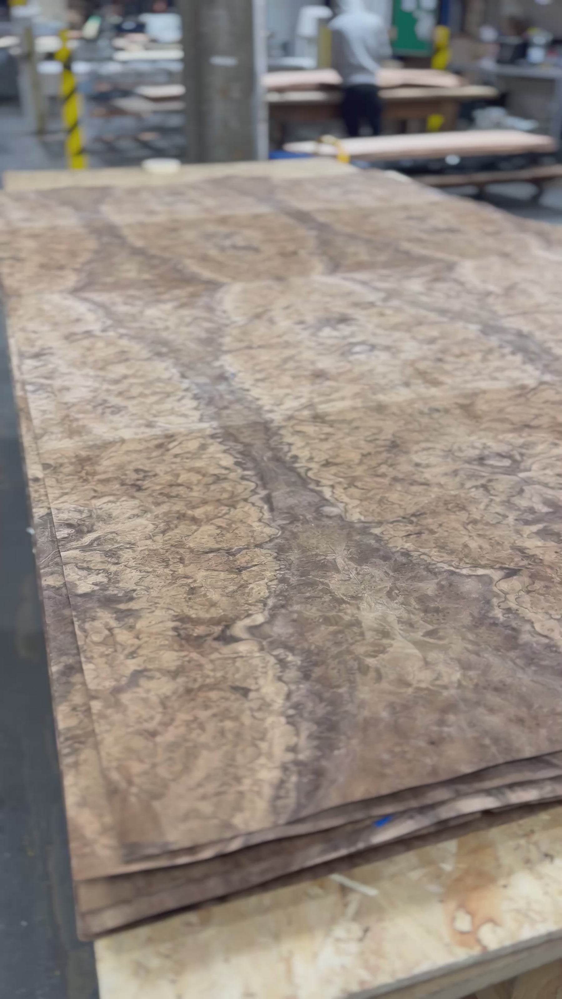 Walnut Burr - Wood Veneer