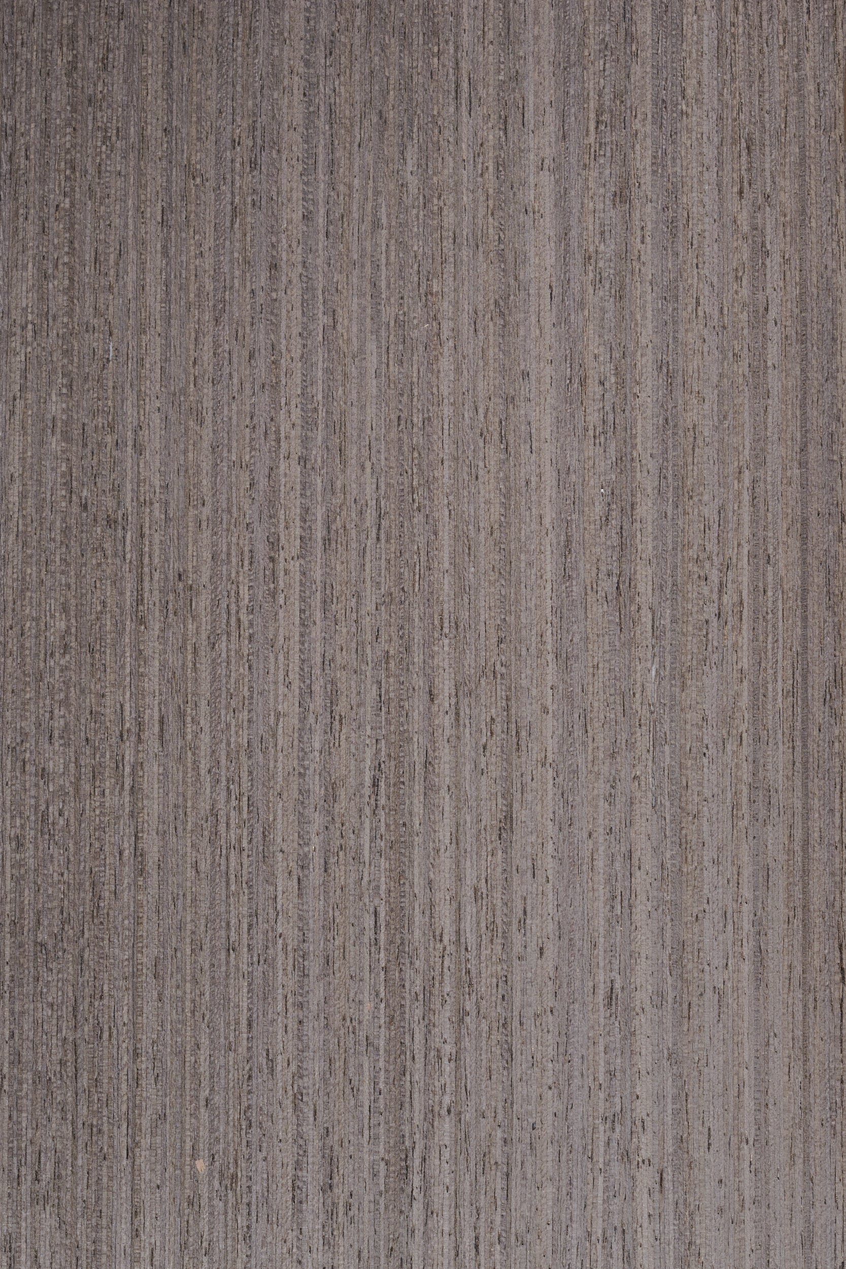Silver Oak 386Q- Wood Veneer