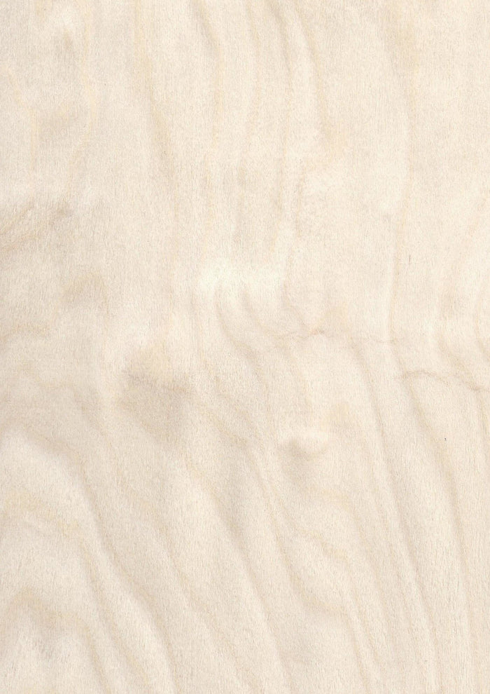 Birch - Wood Veneer