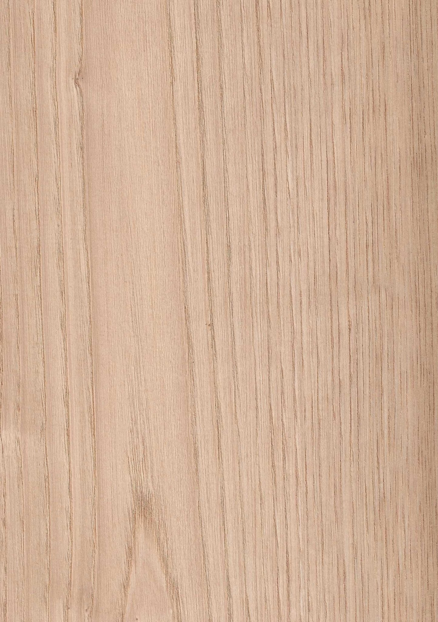 Chestnut- Wood Veneer