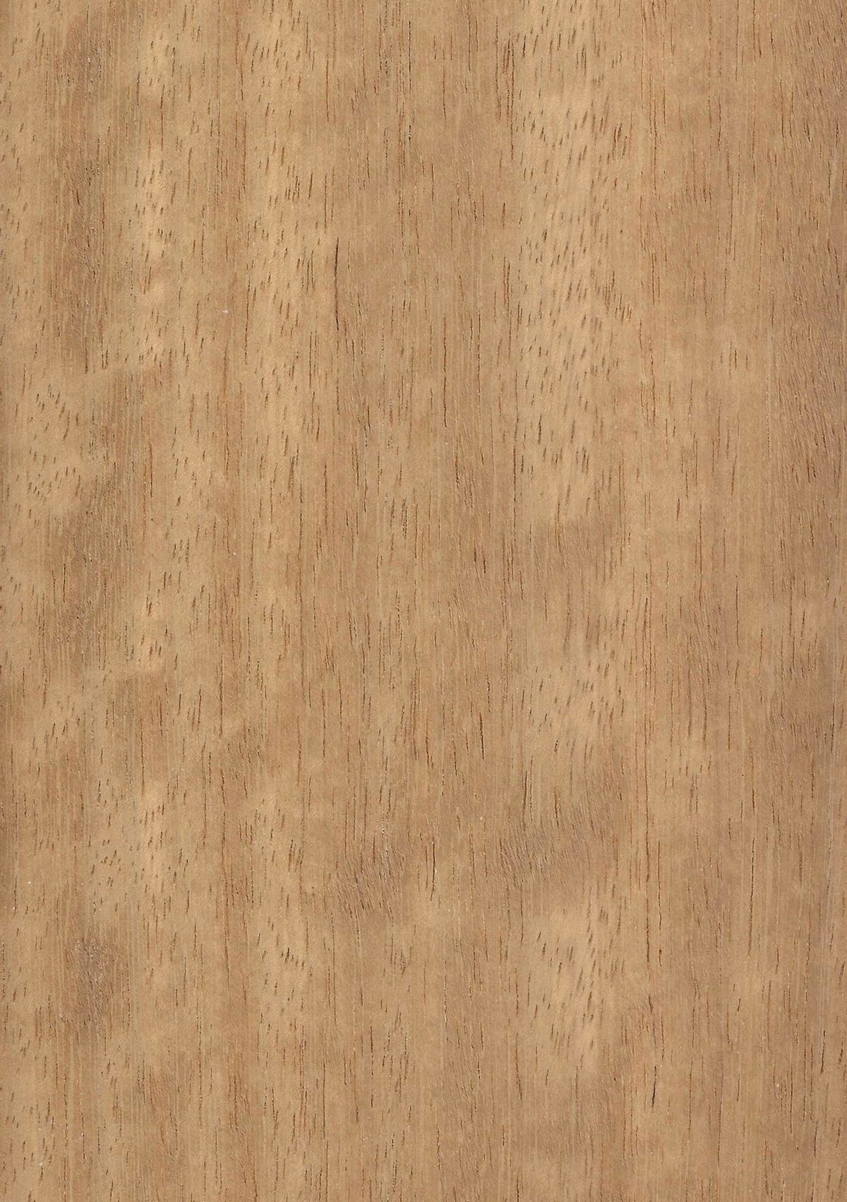 Idigbo- Wood Veneer