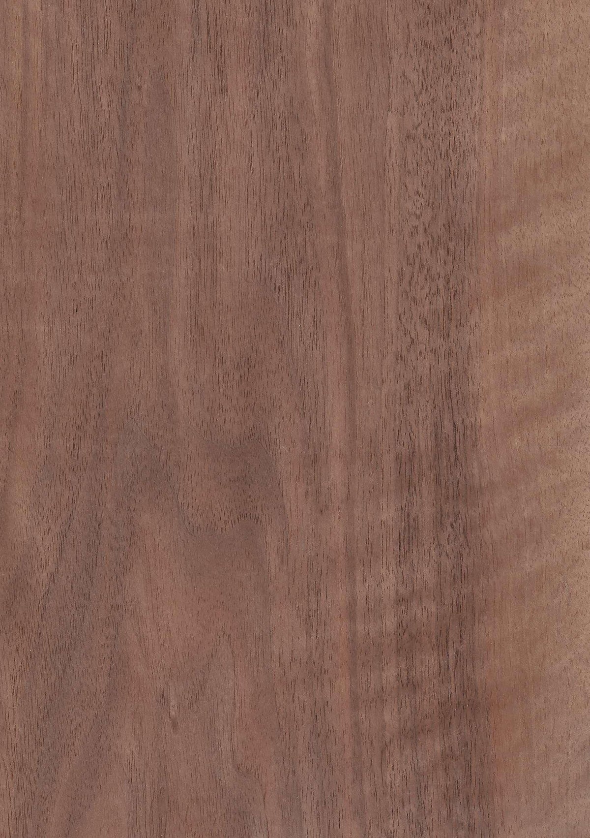 European Walnut - Wood Veneer
