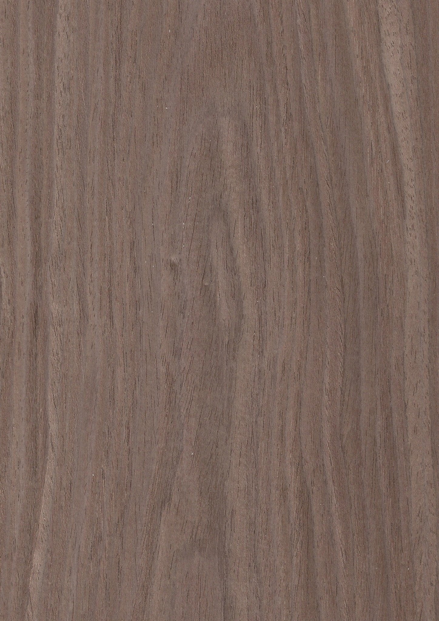 Walnut 9691C - Wood Veneer - Value Engineered Veneer