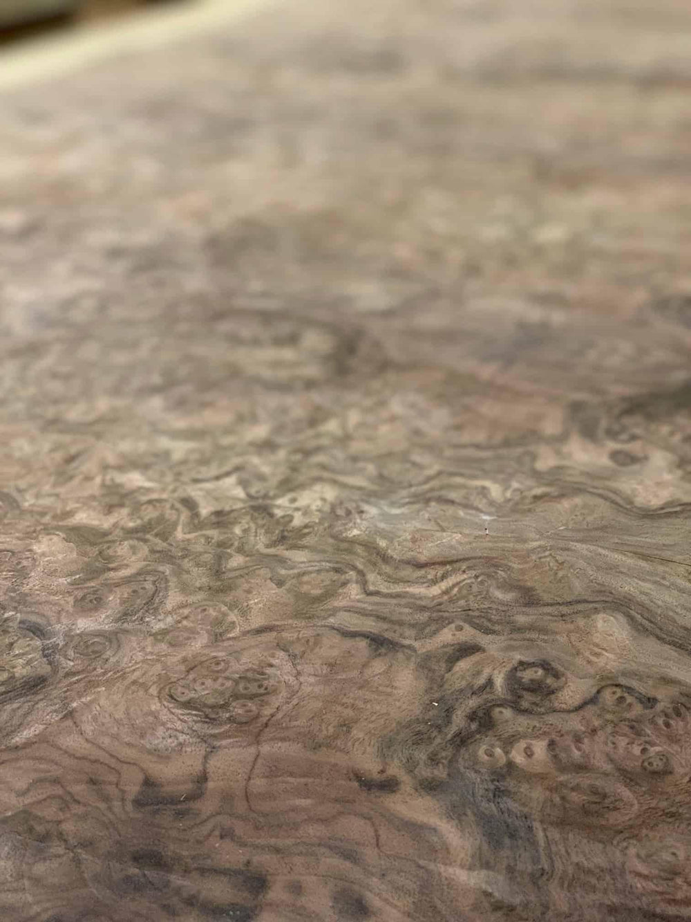 Walnut Burr - Wood Veneer