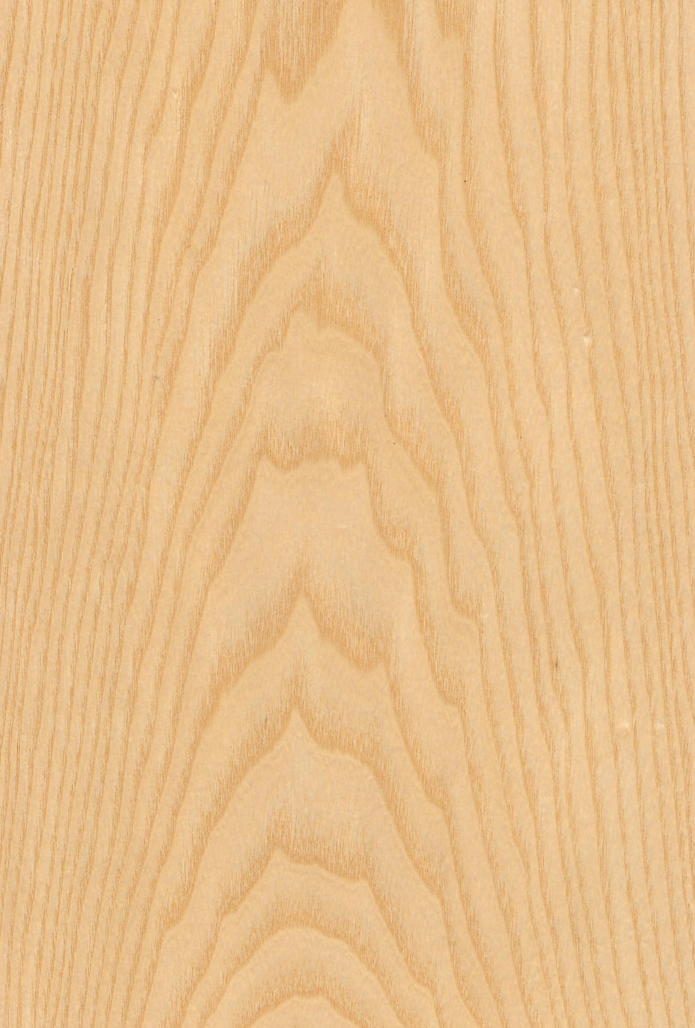 White Ash- Wood Veneer
